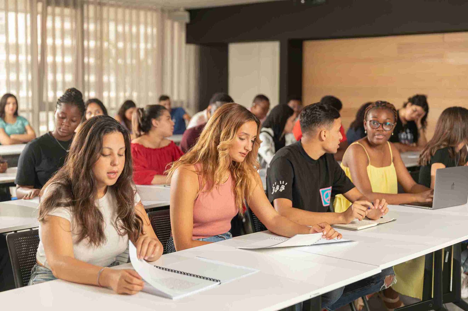 Licence, licence professionnelle, quelles différences